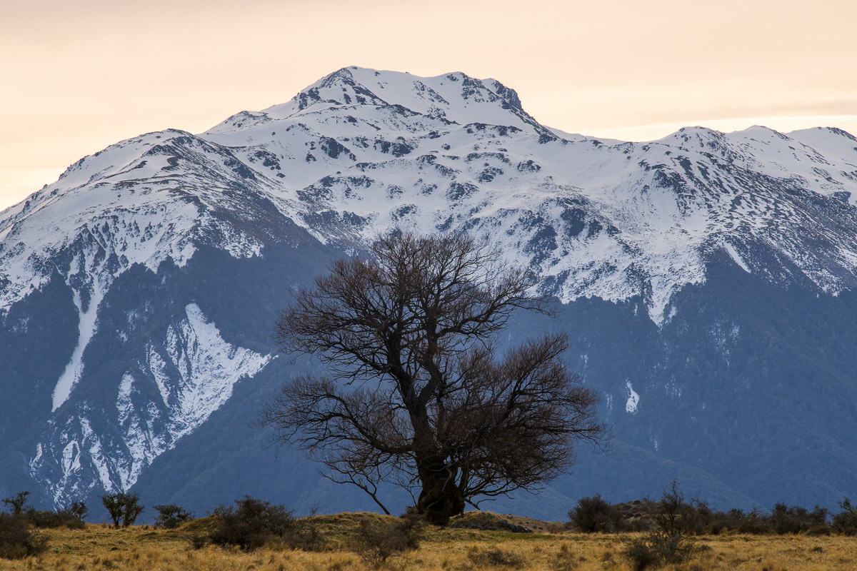 Photography at Mt White Station - New Zealand Photography Workshops